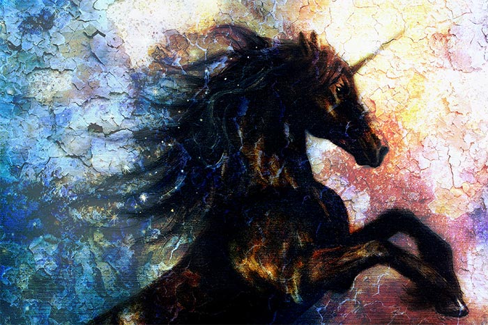 Unicorn Meaning Unicorns Rule Unicorn Meaning Unicorns Rule